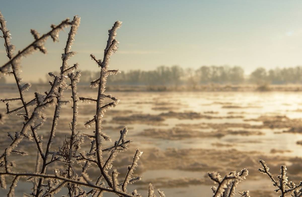 Погодные приметы на 19 ноября ⇒ Новости на METEOPROG