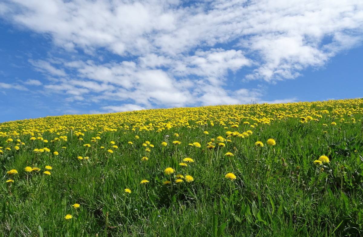 Прогноз погоды в Украине на выходные: 30 – 31 марта 2024 ⇒ METEOPROG