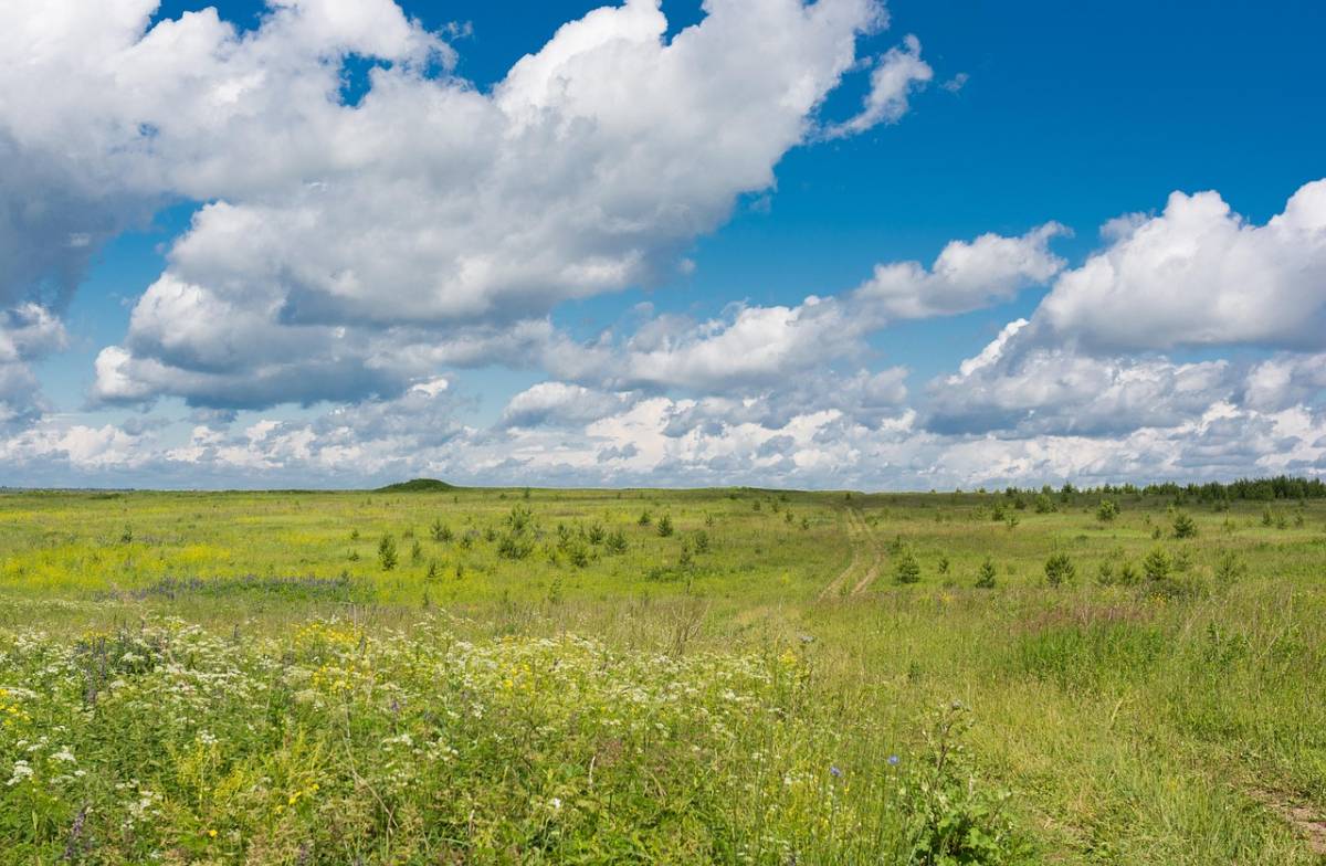 Прогноз погоди в Україні на тиждень: 18 – 24 серпня 2025 ⇒ METEOPROG