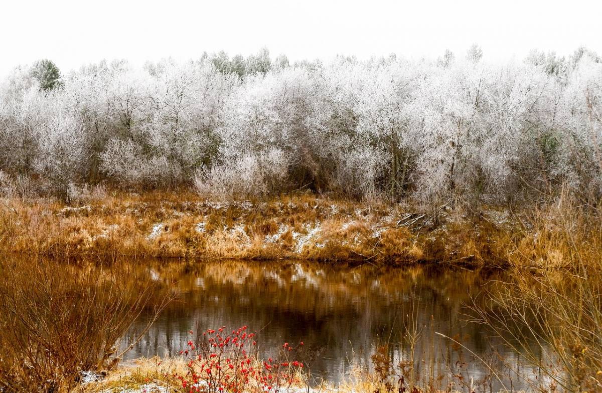 Прогноз погоди в Україні на тиждень: 8 – 14 грудня 2025 ⇒ METEOPROG